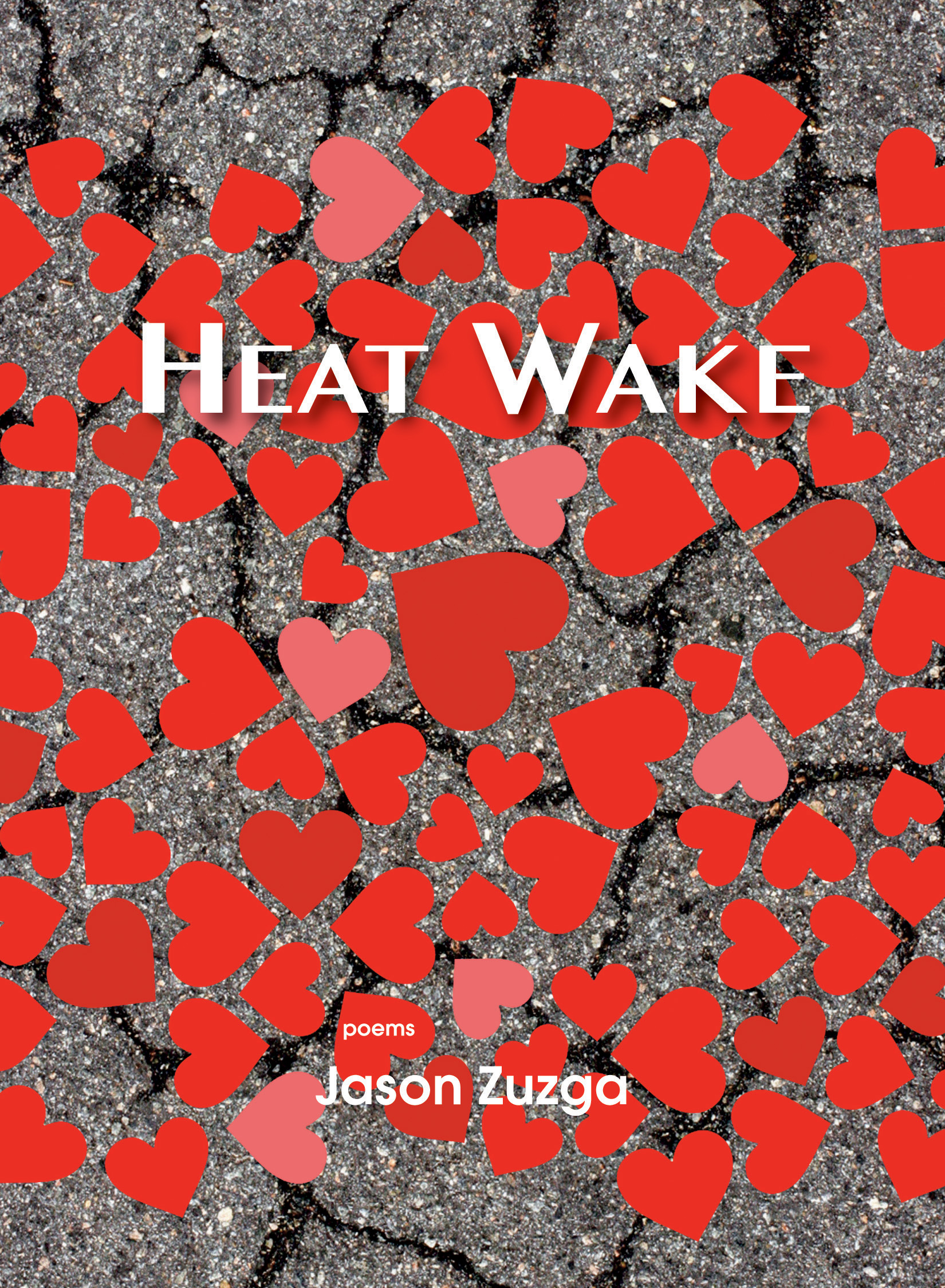 Alex Lemon On Jason Zuzga – Saturnalia Books